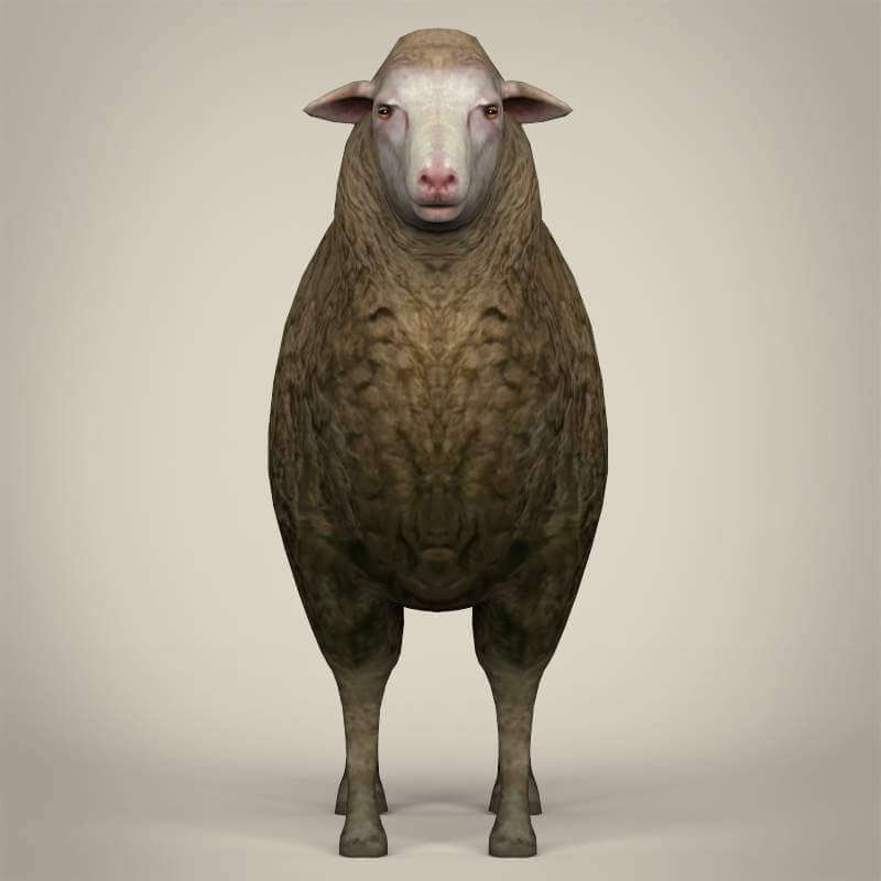 Sheep - 3D Model by 3dseller