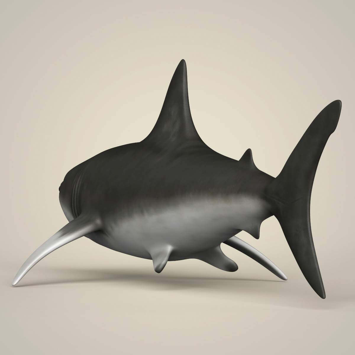 Ocean Shark - 3D Model by 3dseller