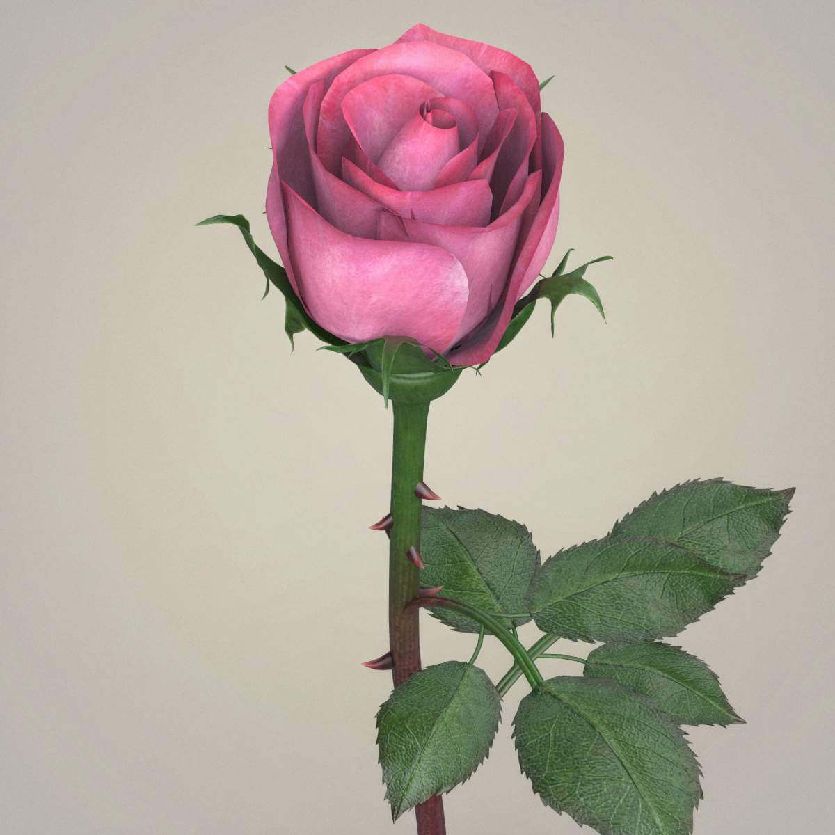 Rose Flower Collection - 3D Model by 3dseller