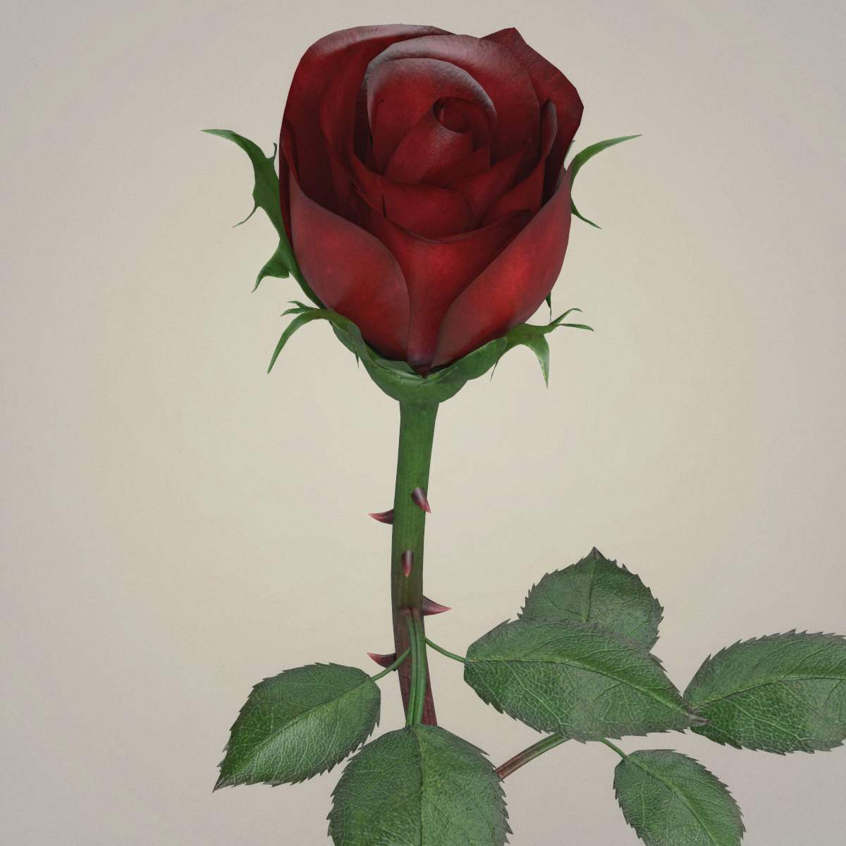 Rose Flower Collection - 3D Model by 3dseller