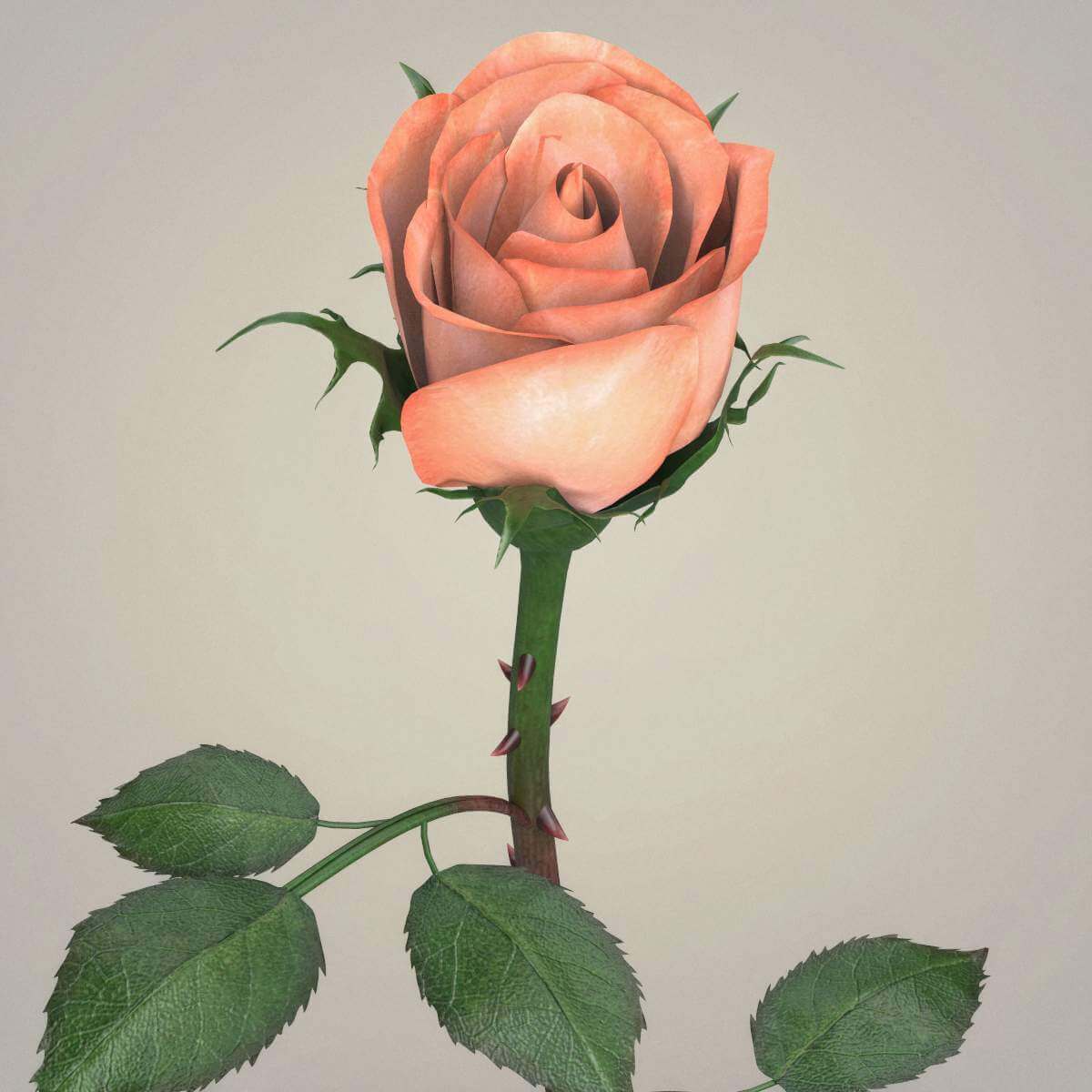 Rose Flower Collection - 3D Model by 3dseller