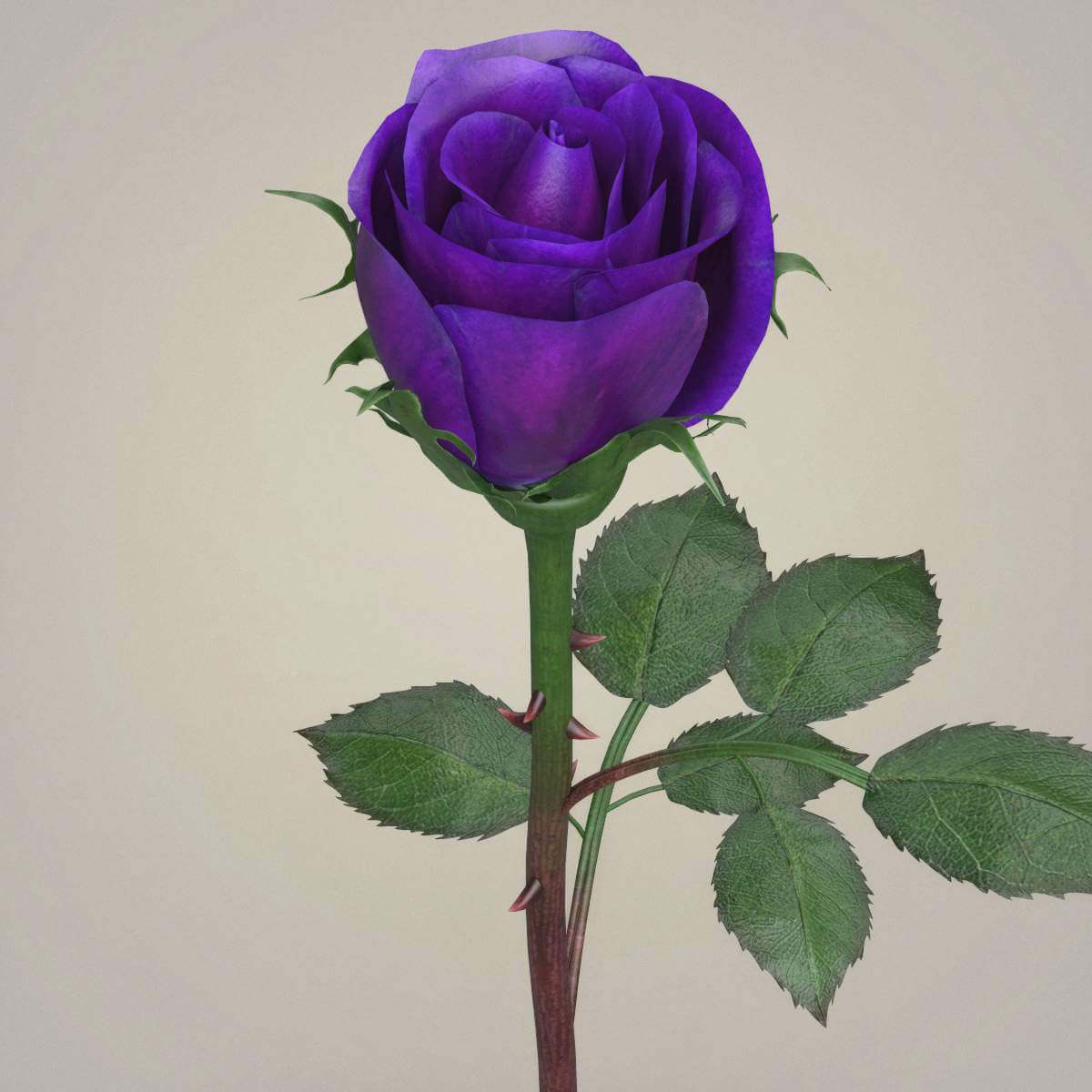 Rose Flower Collection - 3D Model by 3dseller