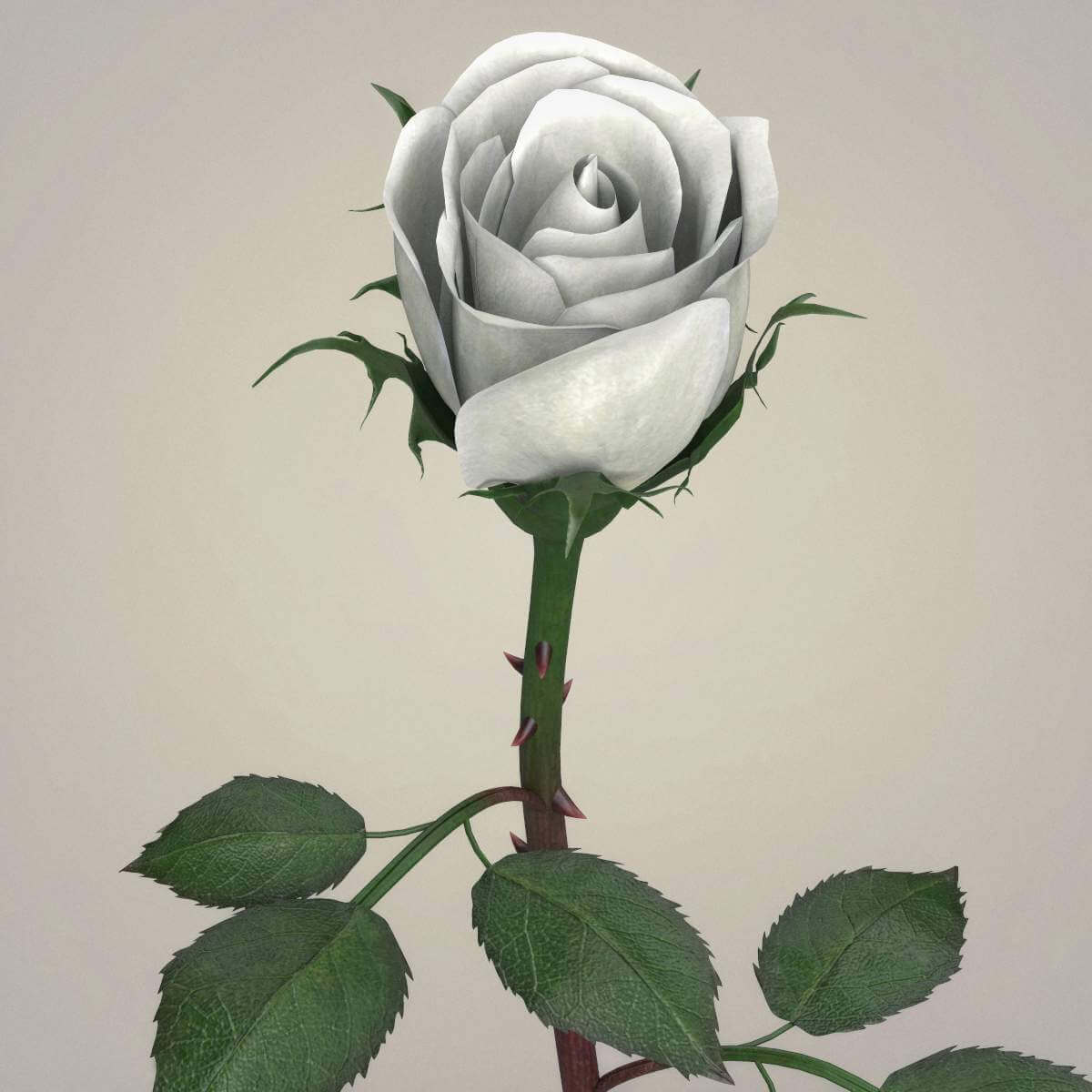 Rose Flower Collection - 3D Model by 3dseller