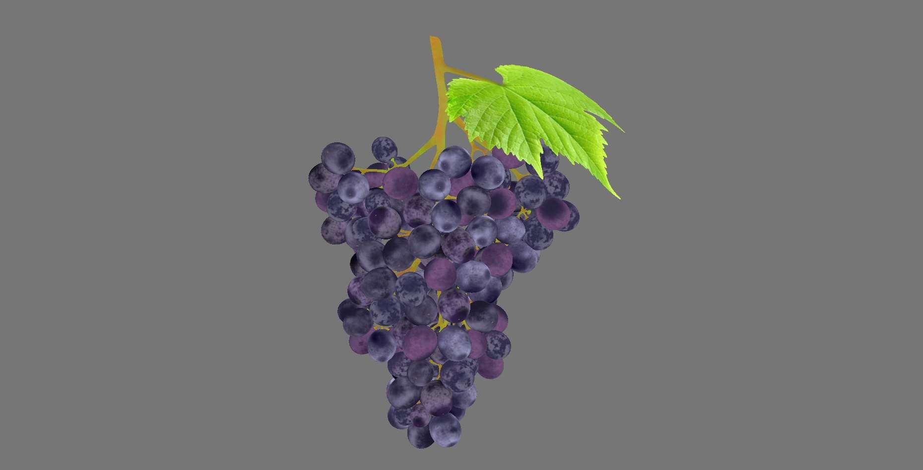 Grapes - 3D Model by 3dShop