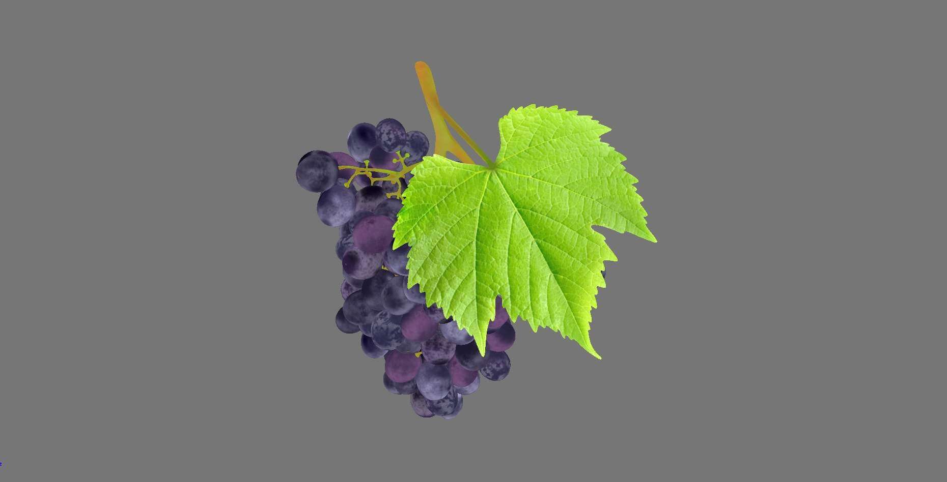 Grapes - 3D Model by 3dShop