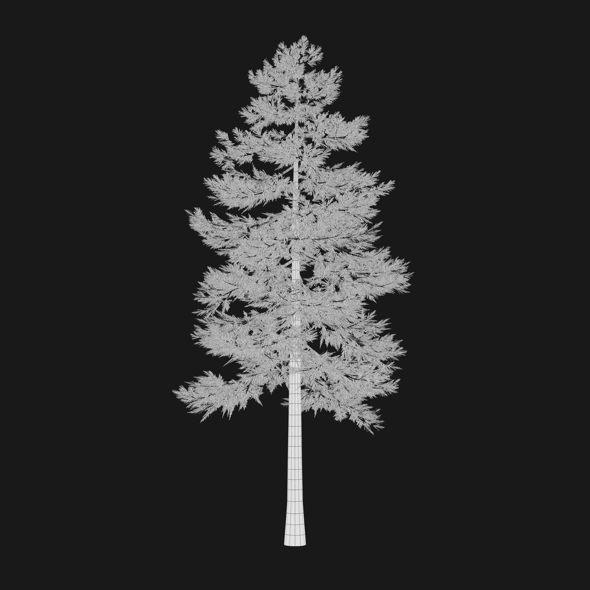 Pine Tree Pack of 3 - 3D Model by 3dShop