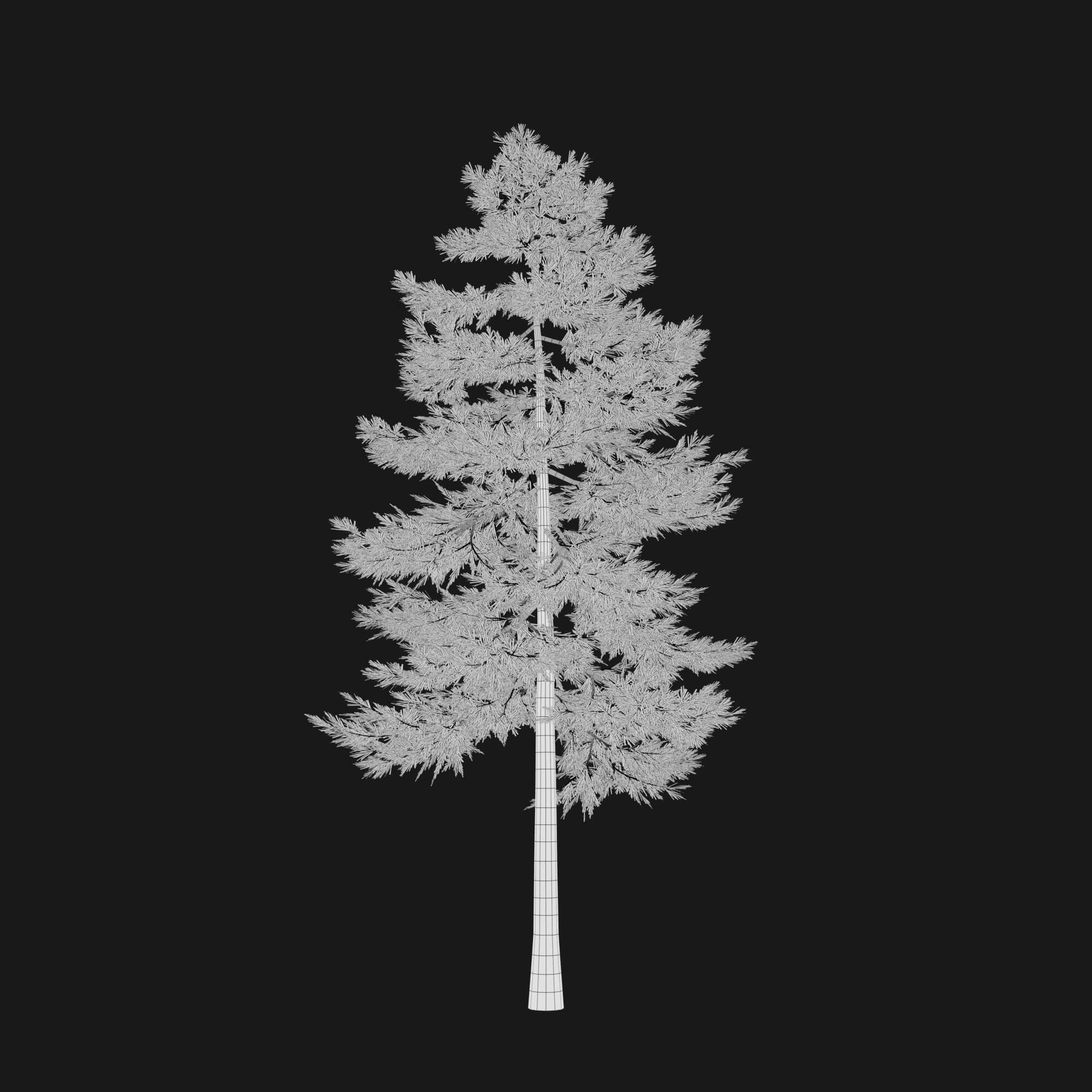Pine Tree Pack of 3 - 3D Model by 3dShop