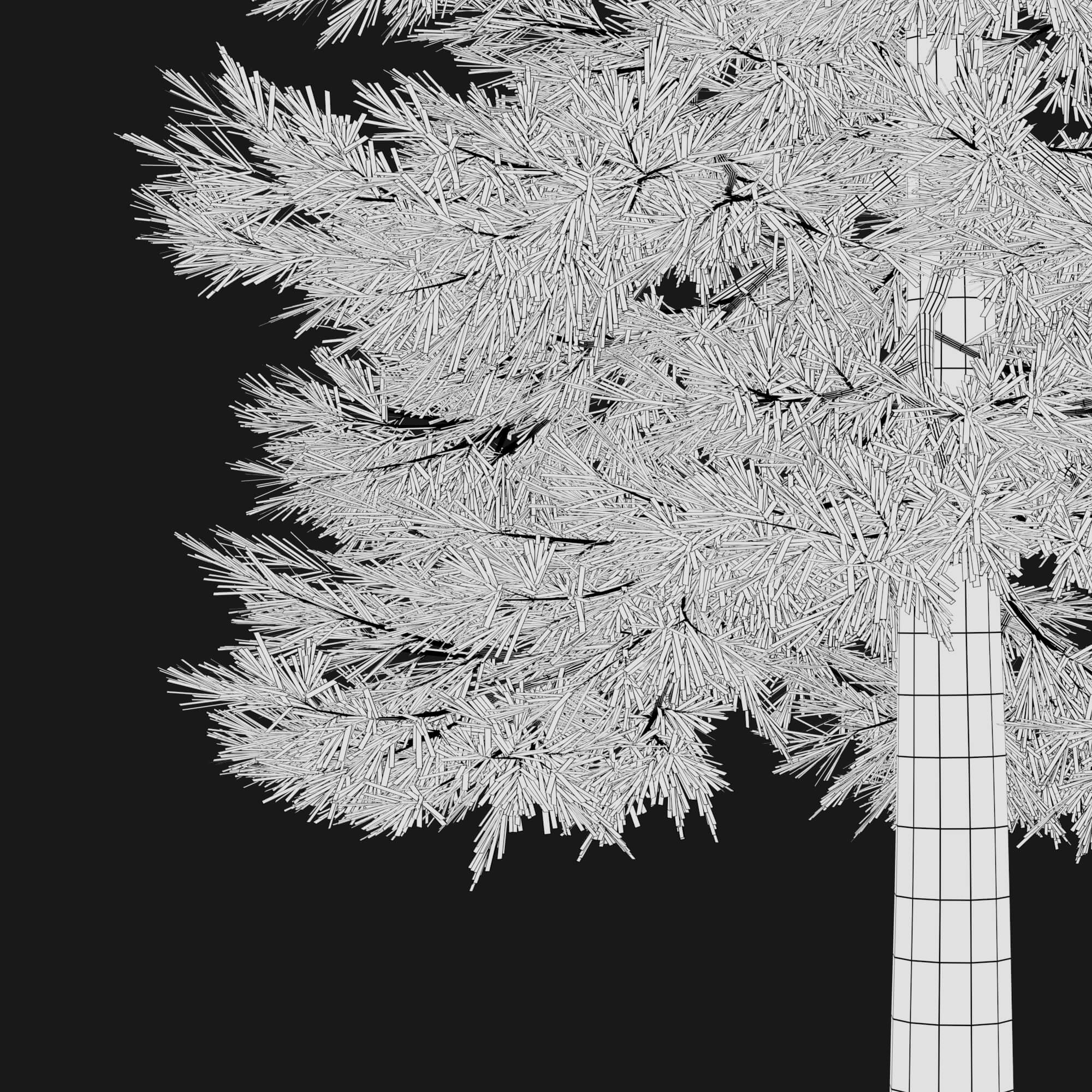 Pine Tree Pack of 3 - 3D Model by 3dShop