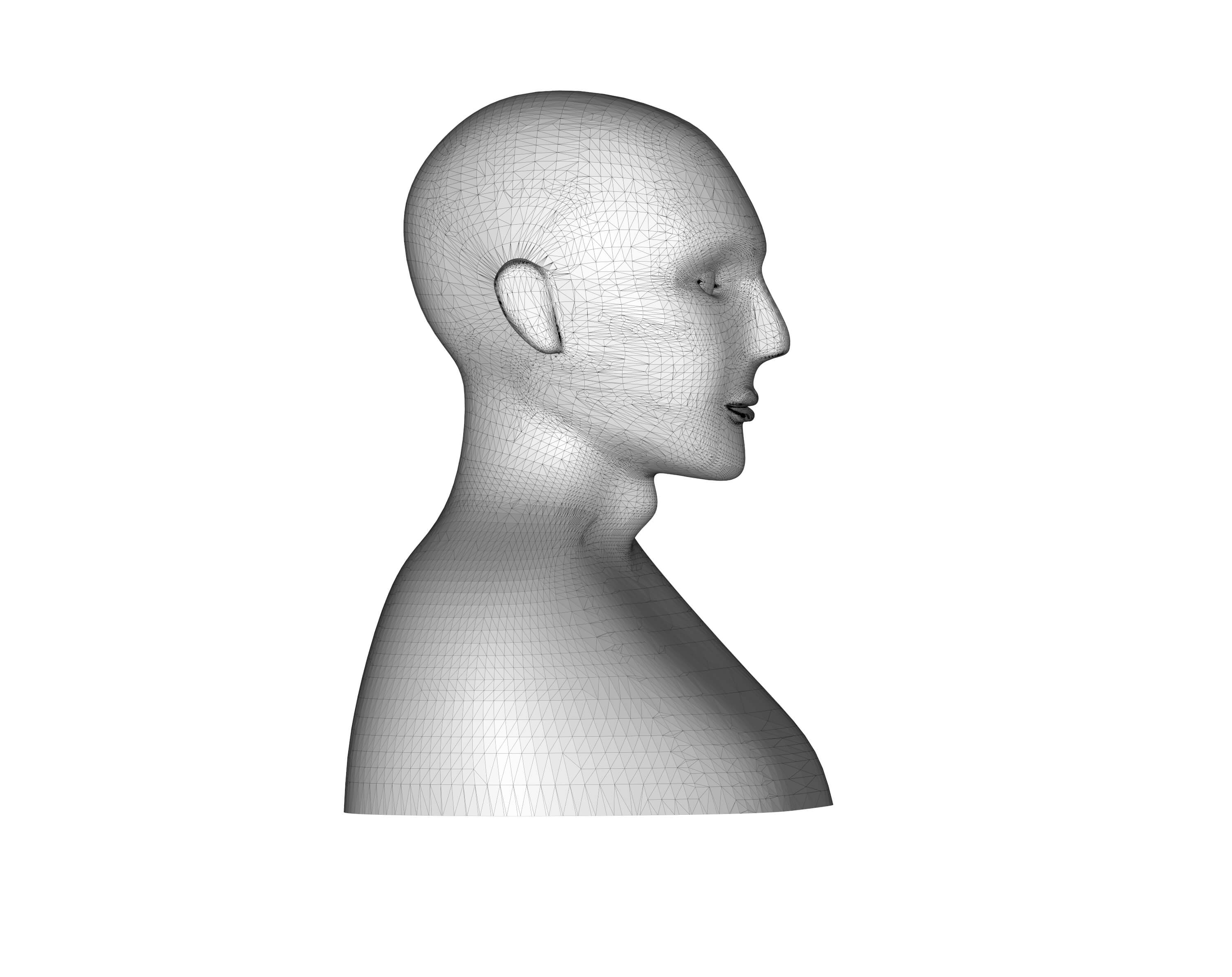 Human 3D Model by 3dsldworks