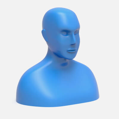 Human 3D Model by 3dsldworks