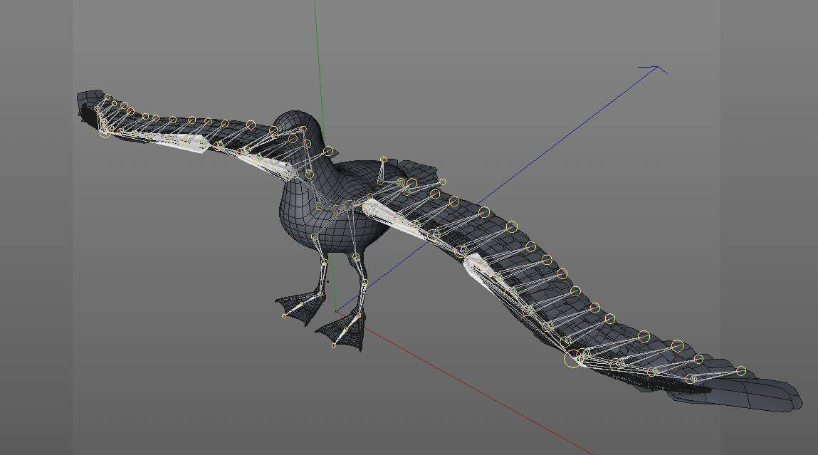 Albatross - 3D Model by 3dstudio