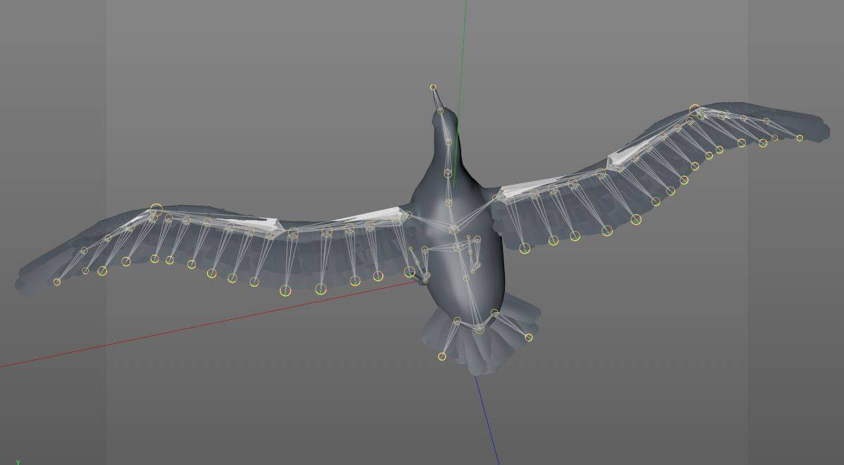 Albatross - 3D Model by 3dstudio