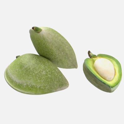 Almond Green Set - 3D Model by 3dstudio