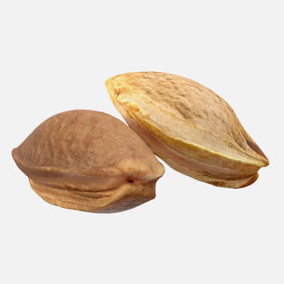 Apricot Kernels - 3D Model by 3dstudio