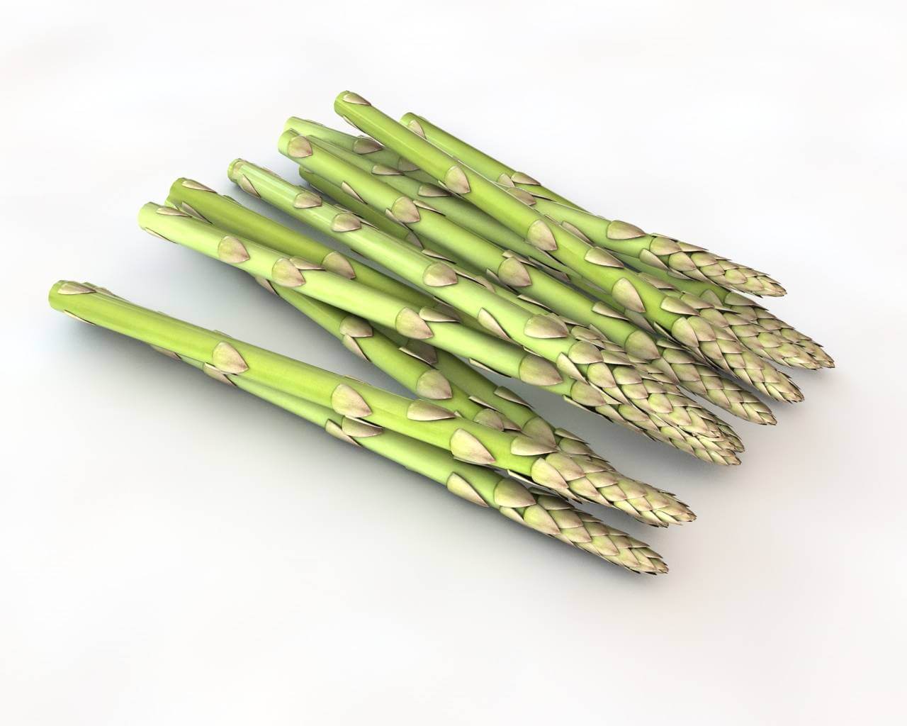 Asparagus - 3D Model by 3dstudio