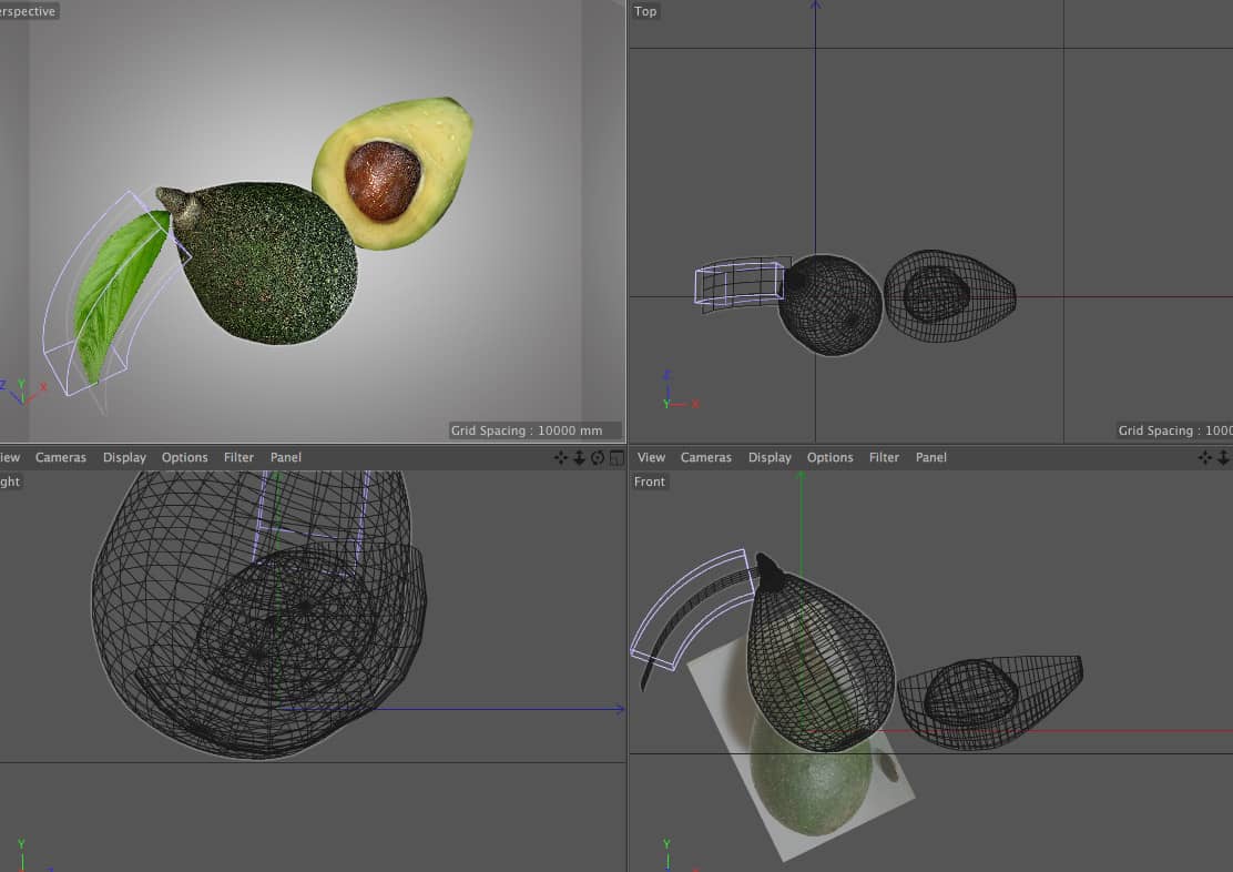 Avocado - 3D Model by 3dstudio