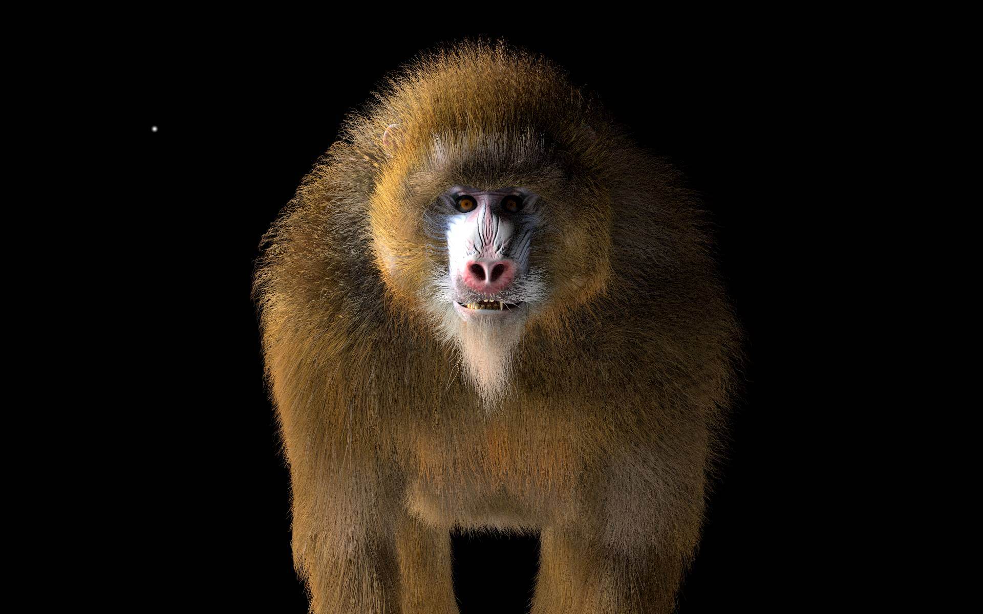 Baboon with Fur - 3D Model by 3dstudio