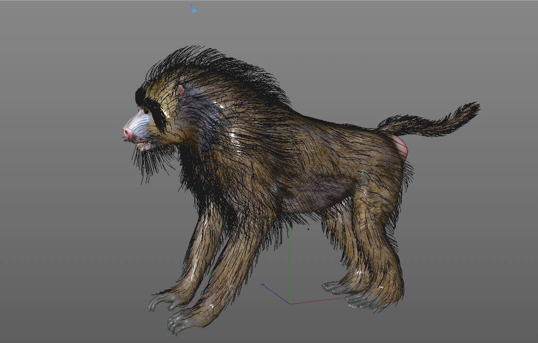 Baboon with Fur - 3D Model by 3dstudio