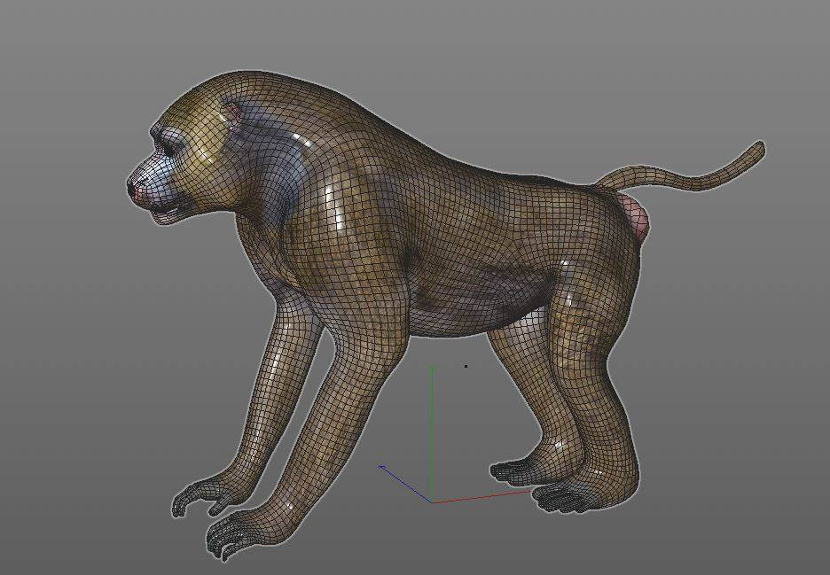 Baboon with Fur - 3D Model by 3dstudio
