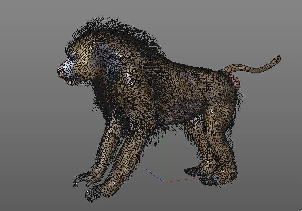 Baboon with Fur - 3D Model by 3dstudio