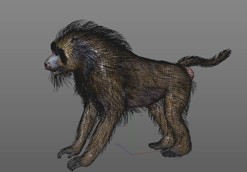 Baboon with Fur - 3D Model by 3dstudio