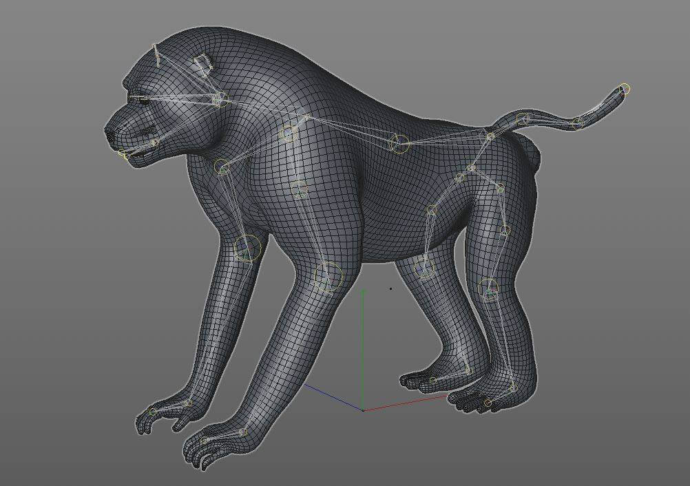 Baboon with Fur - 3D Model by 3dstudio