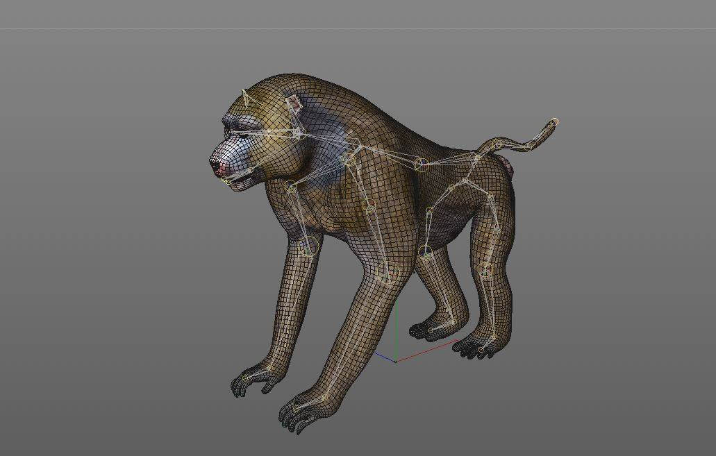 Baboon - 3D Model by 3dstudio
