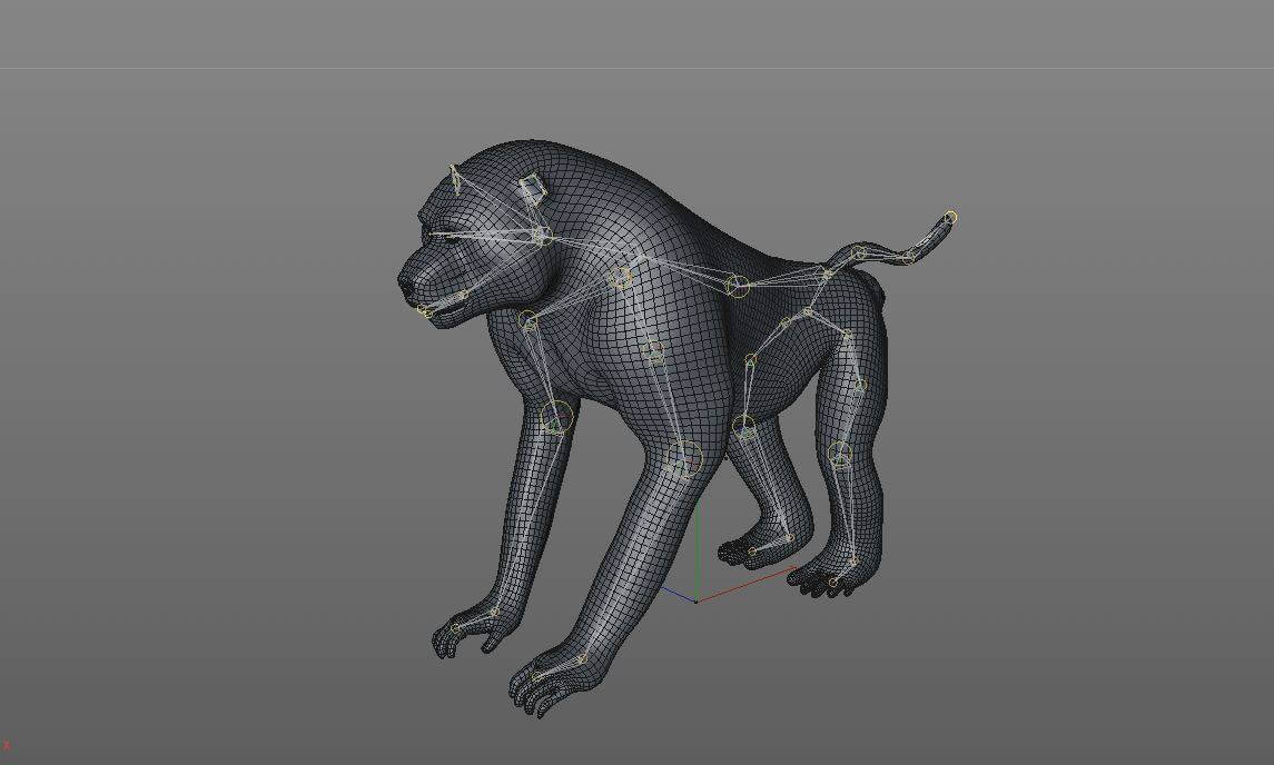 Baboon - 3D Model by 3dstudio