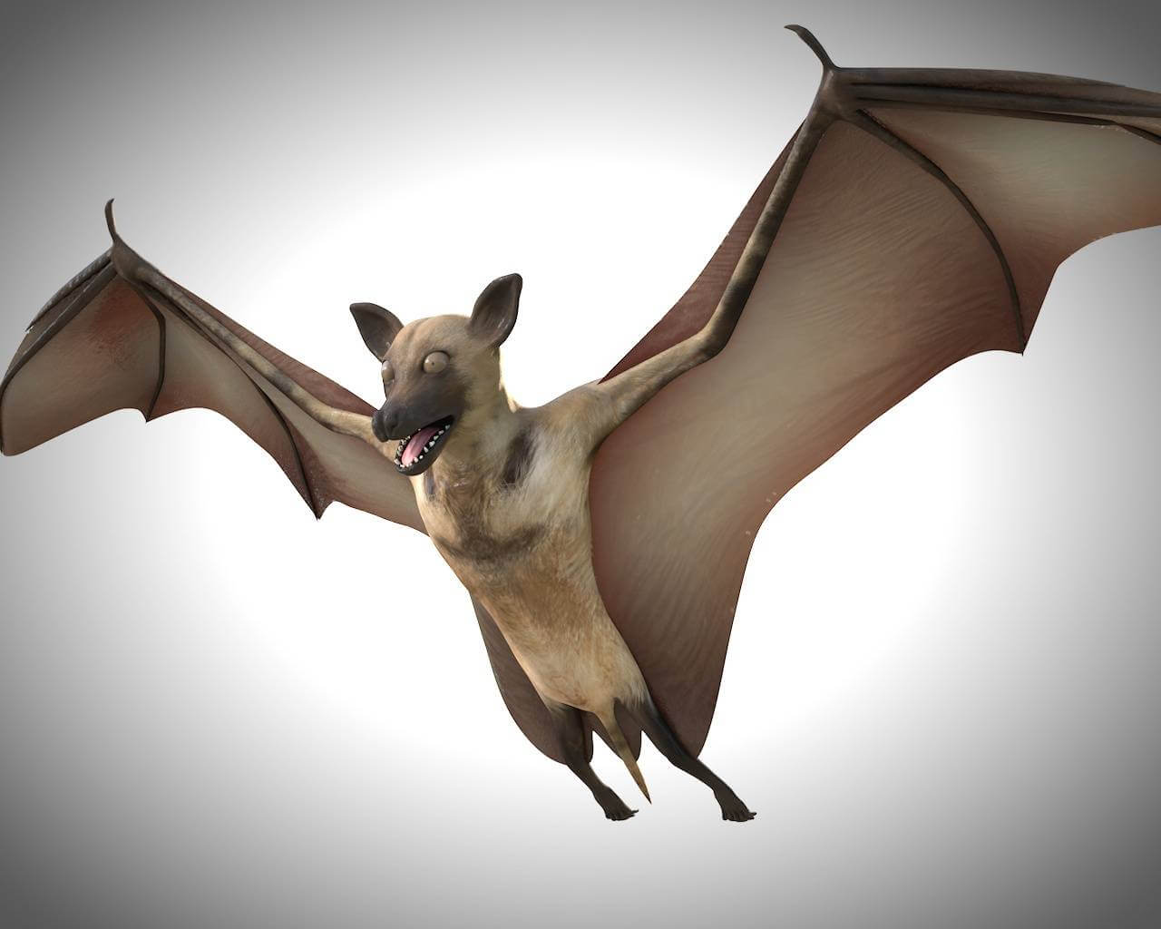 Bat - 3D Model by 3dstudio