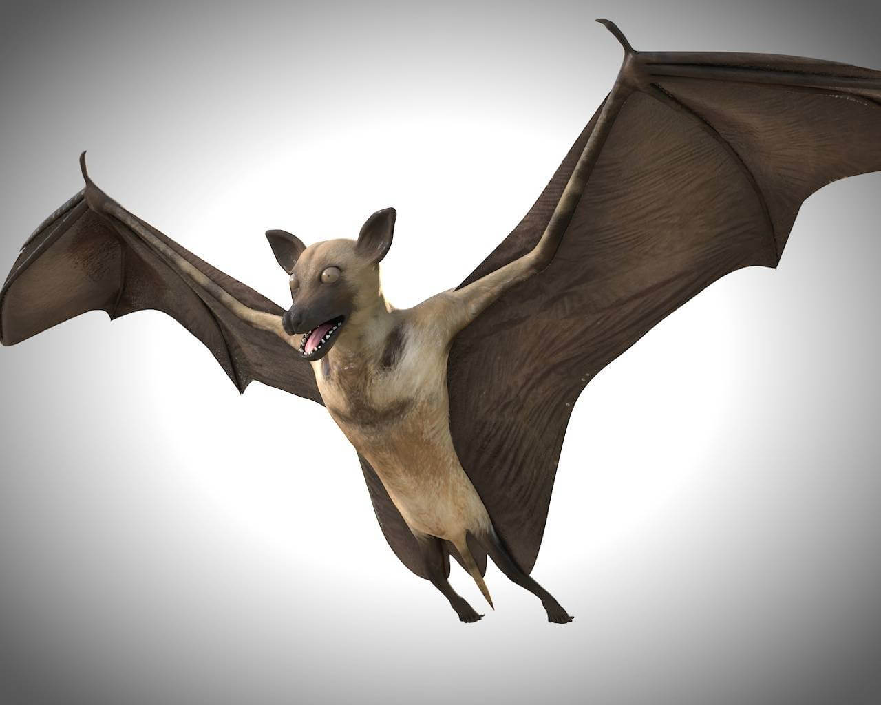 Bat - 3D Model by 3dstudio