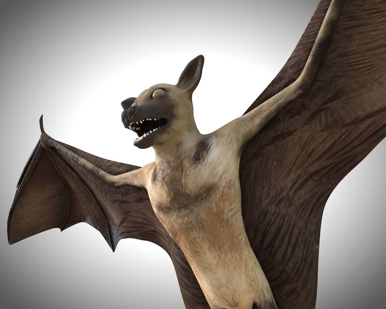 Bat - 3D Model by 3dstudio