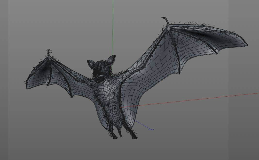 Bat - 3D Model by 3dstudio