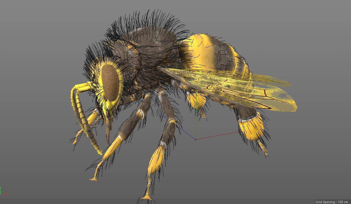 Bee - 3D Model by 3dstudio