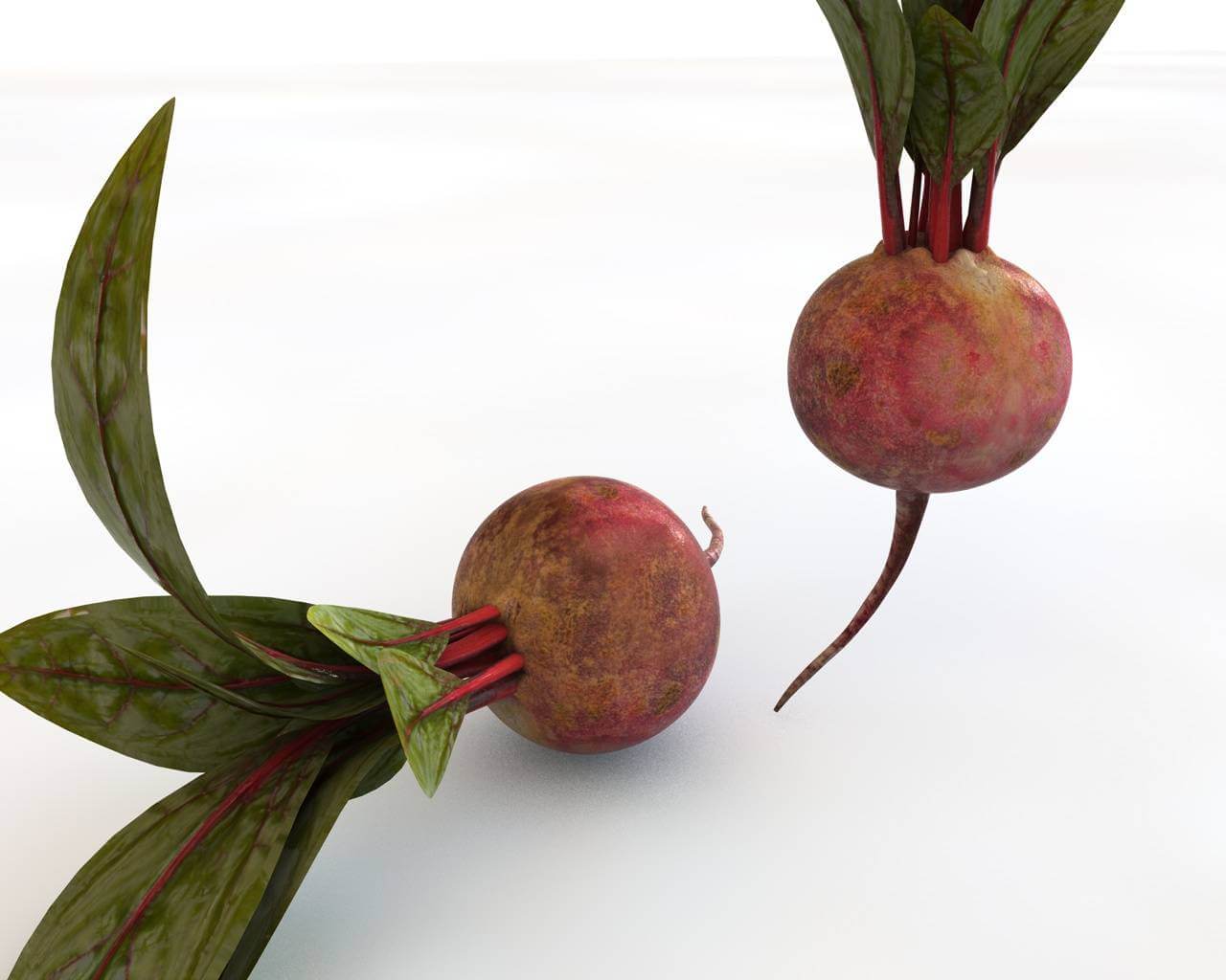 Beetroot - 3D Model by 3dstudio