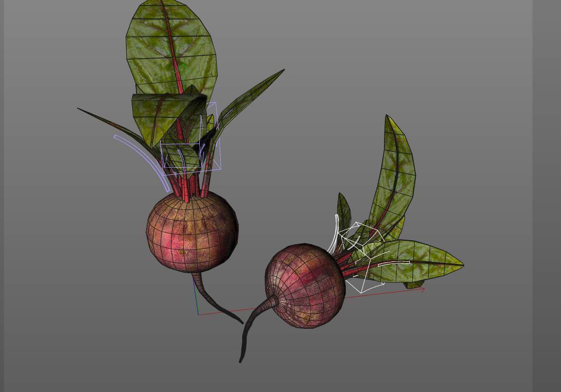 Beetroot - 3D Model by 3dstudio