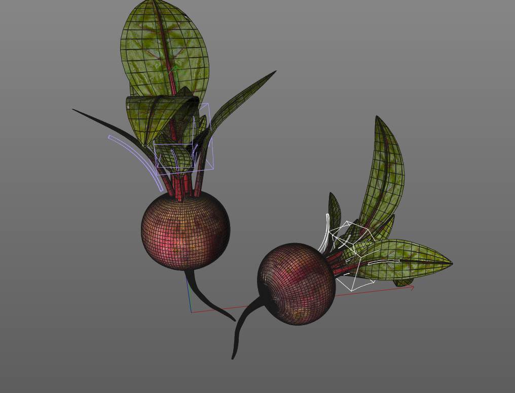 Beetroot - 3D Model by 3dstudio
