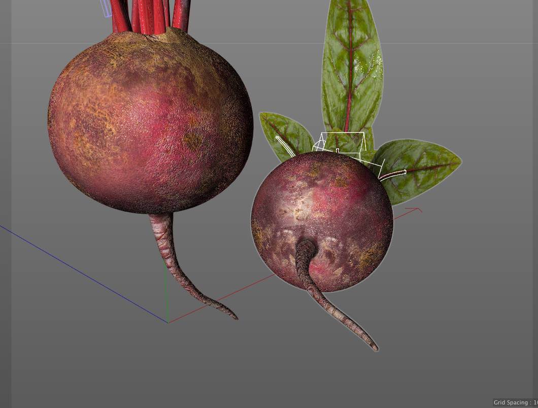 Beetroot - 3D Model by 3dstudio