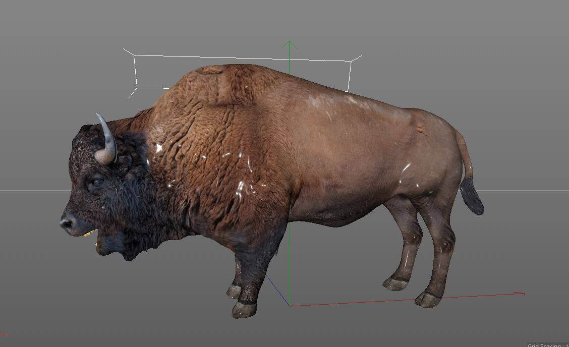 Bison with Fur - 3D Model by 3dstudio