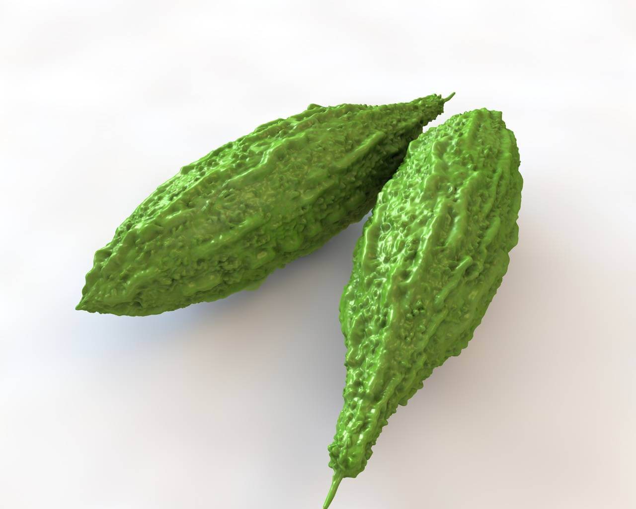 Bitter Gourd - 3D Model by 3dstudio