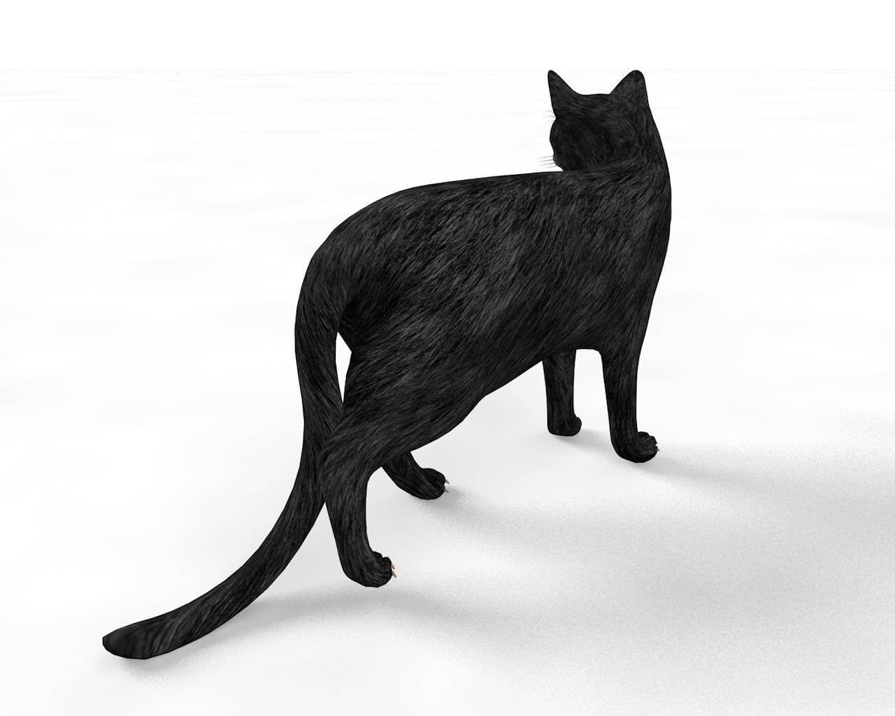 Black Cat - 3D Model by 3dstudio