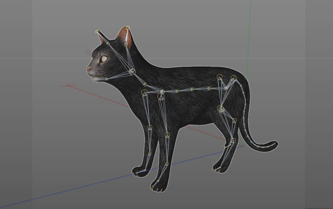 Black Cat - 3D Model by 3dstudio
