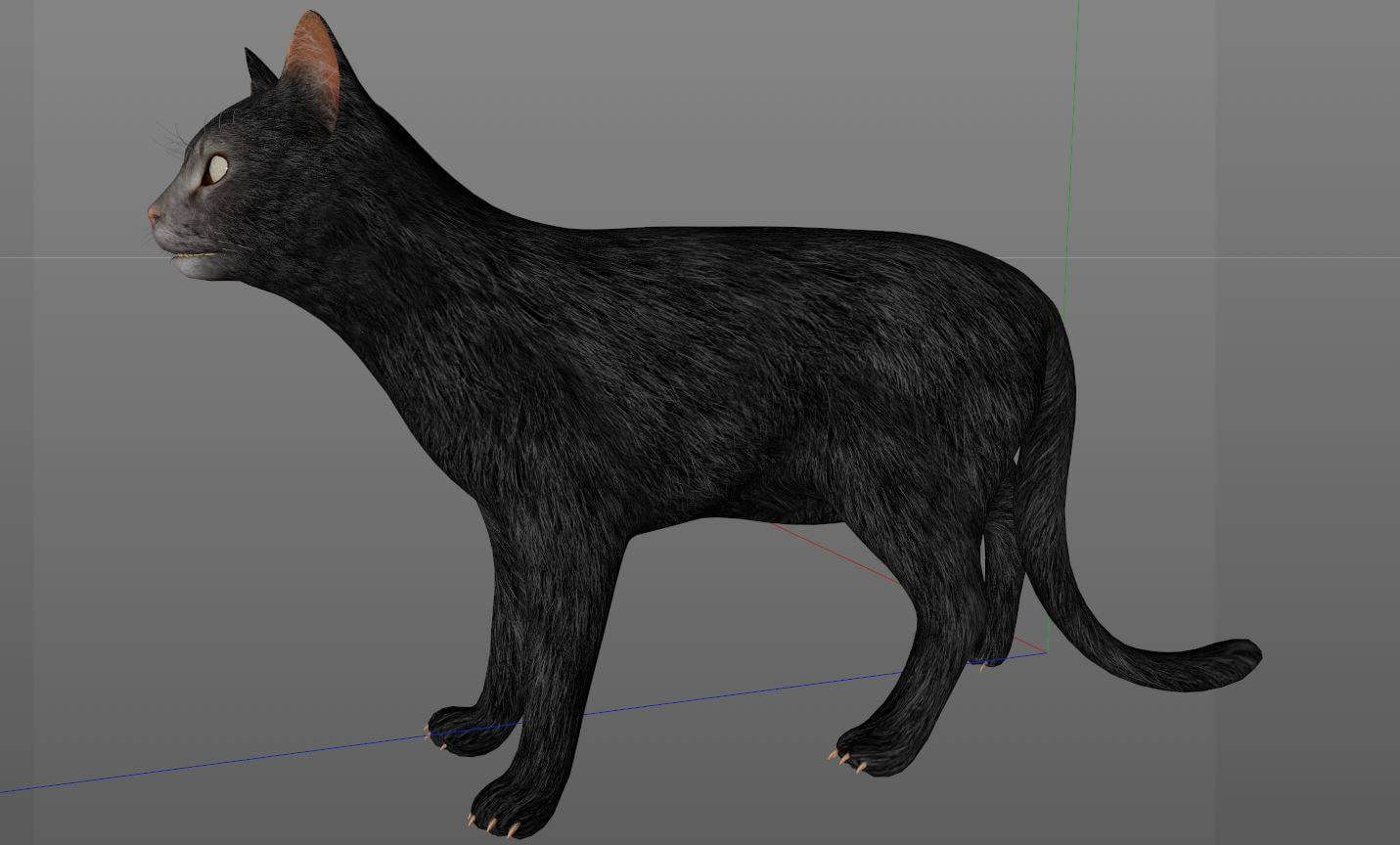 Black Cat - 3D Model by 3dstudio