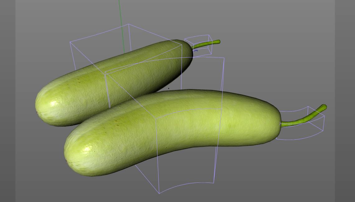 Bottle Gourd - 3D Model by 3dstudio