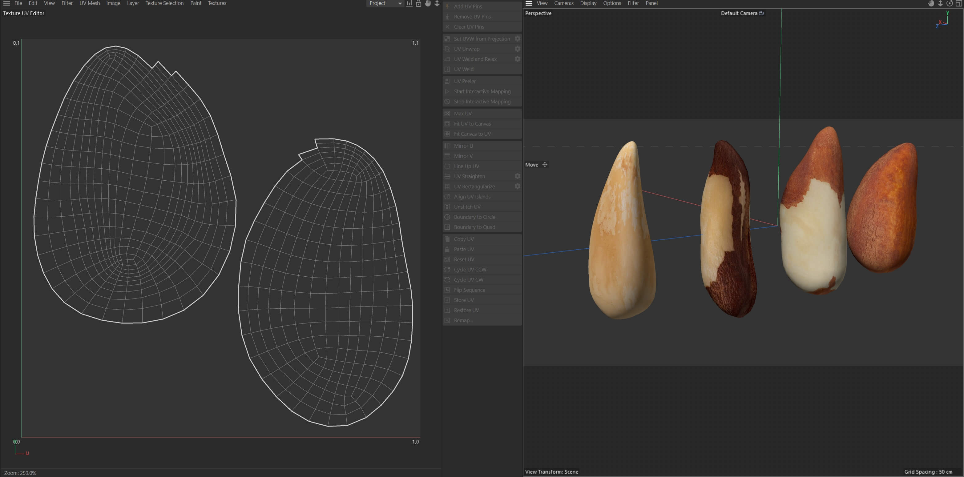 Brazilian Nuts - 3D Model by 3dstudio