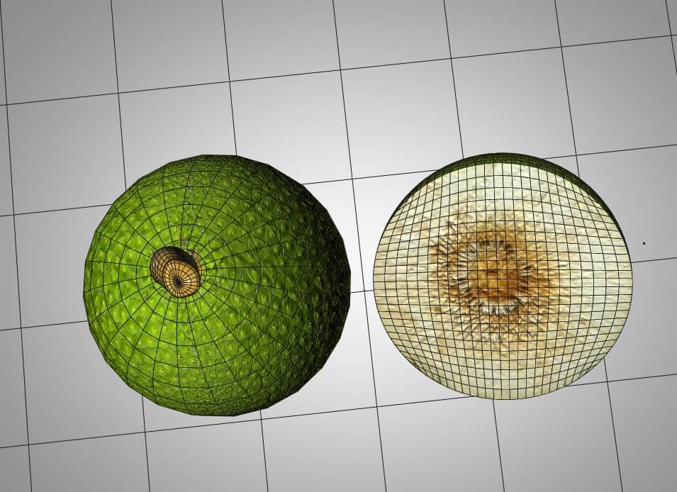 Breadfruit - 3D Model by 3dstudio