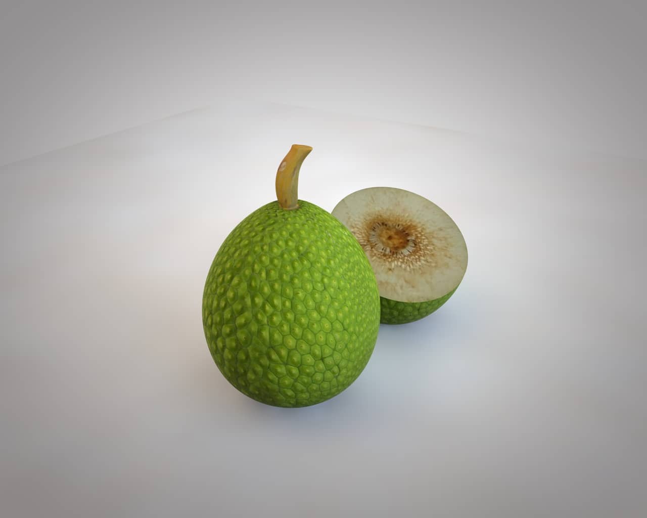 Breadfruit - 3D Model by 3dstudio
