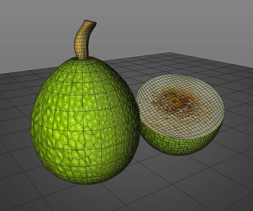 Breadfruit - 3D Model by 3dstudio