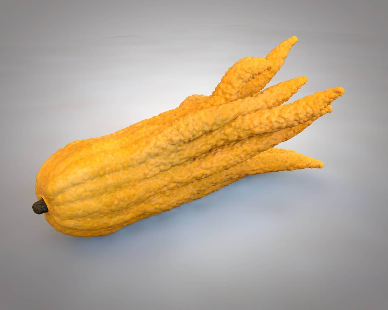 Buddhas Hand Fruit - 3D Model by 3dstudio