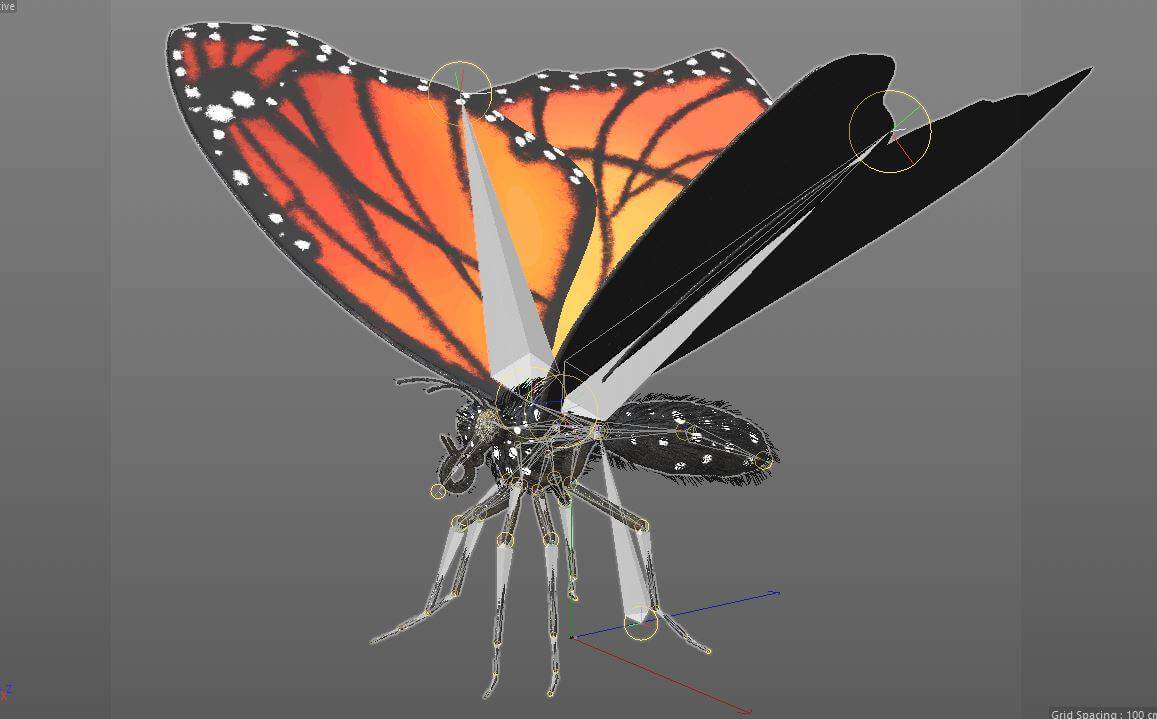 Butterfly - 3D Model by 3dstudio