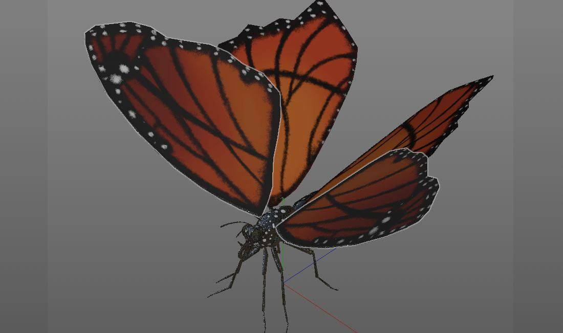 Butterfly - 3D Model by 3dstudio